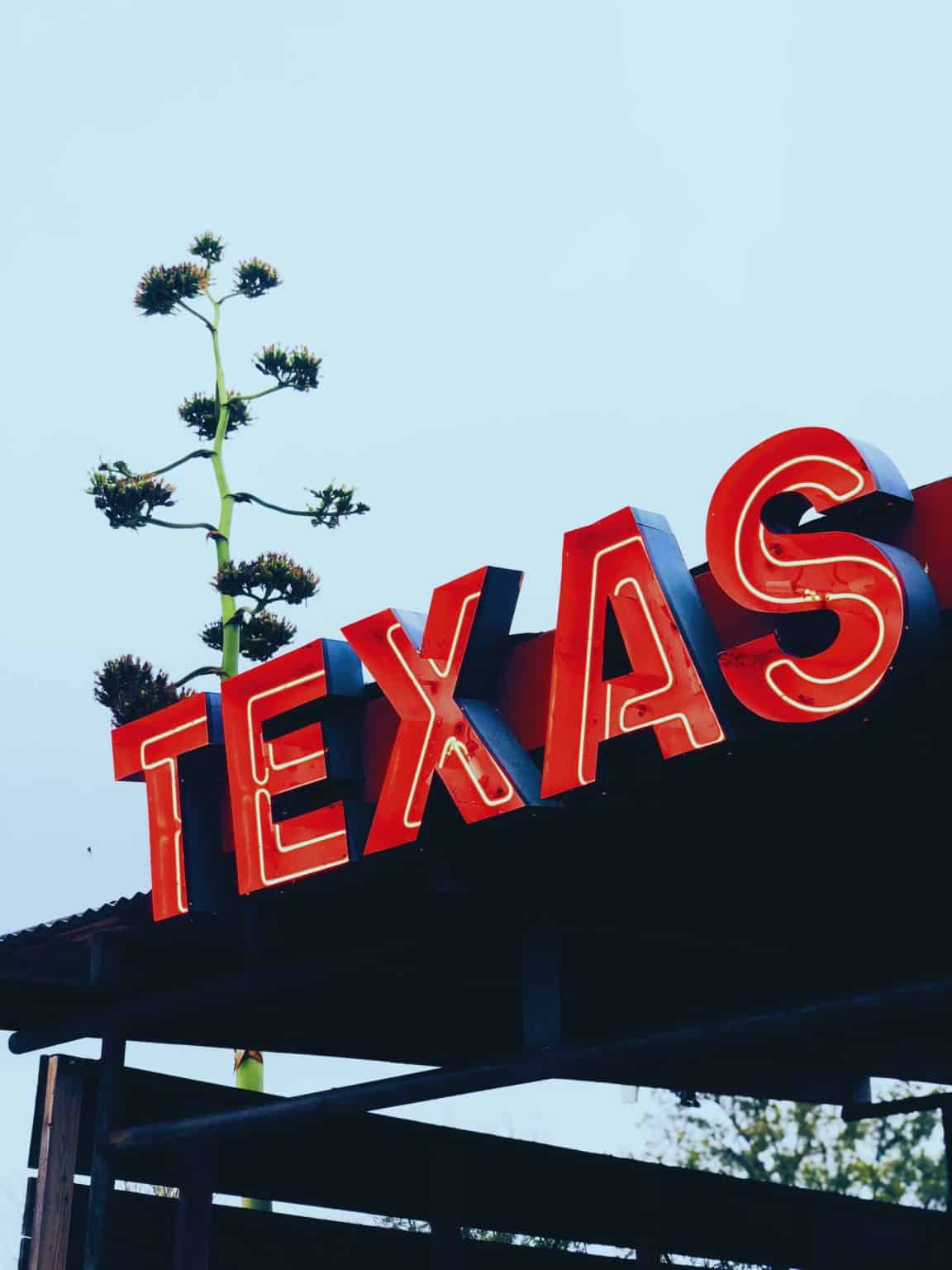 Texas Cannabis Laws 2025: THC Bans & Legalization Update